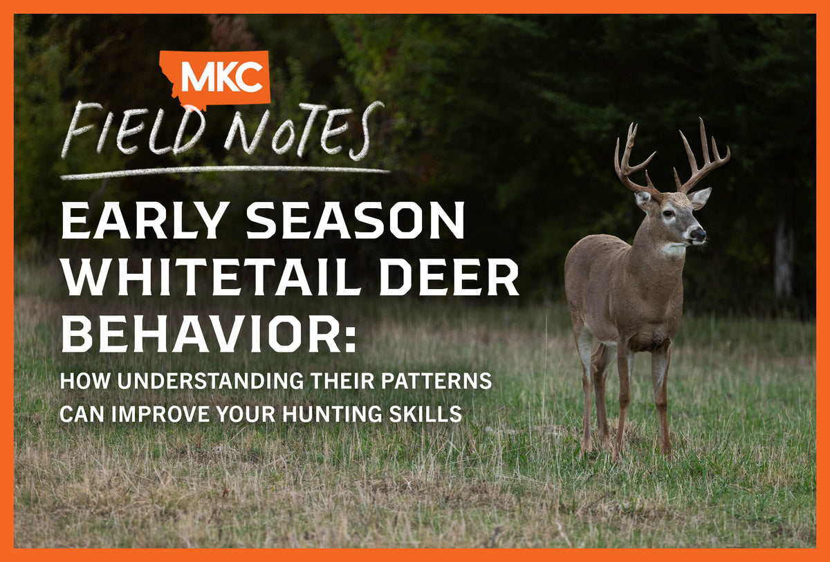 Early Season Whitetail Deer Behavior: How Understanding Their Patterns ...