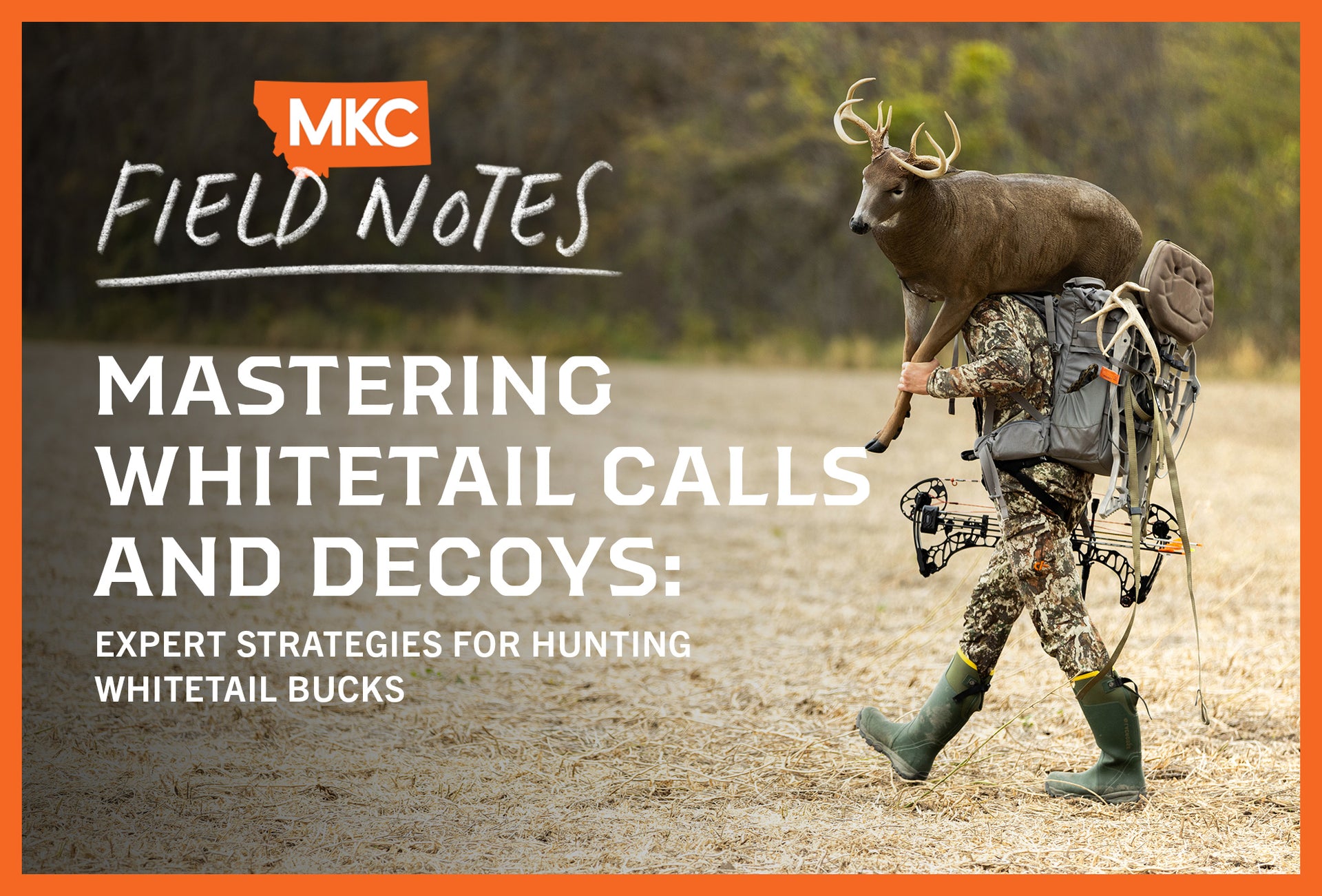 Early Season Whitetail Deer Behavior: How Understanding Their Patterns Can Improve Your Hunting ...