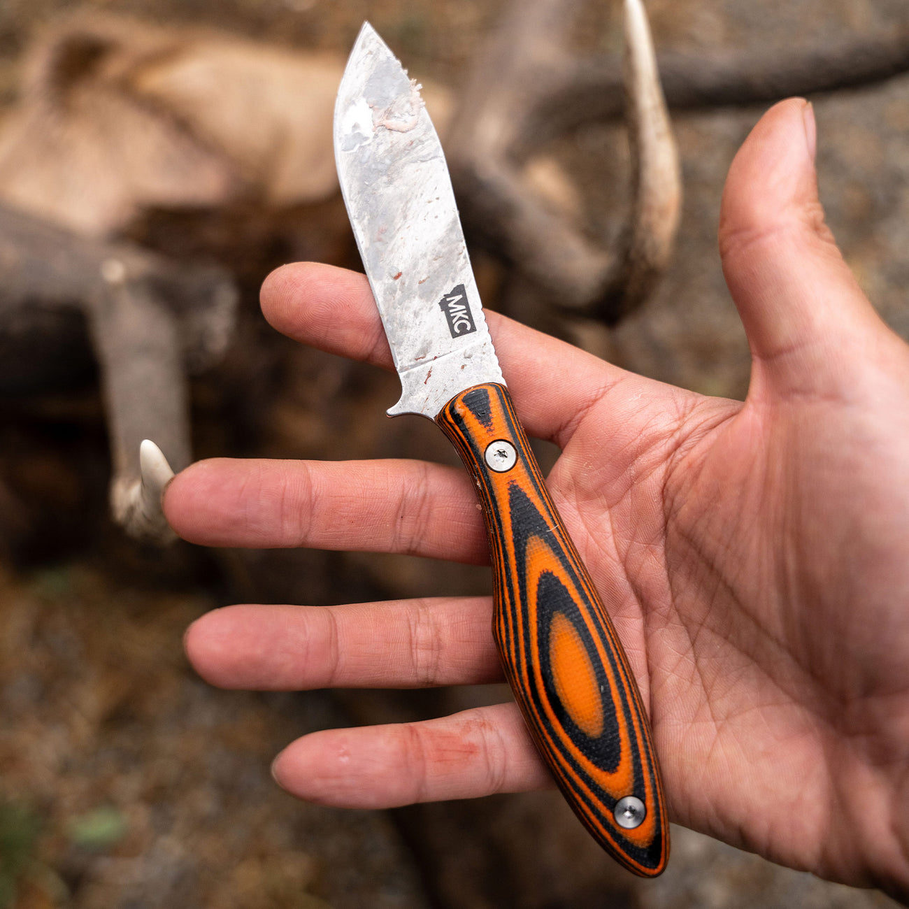 JACKSTONE - ORANGE AND BLACK