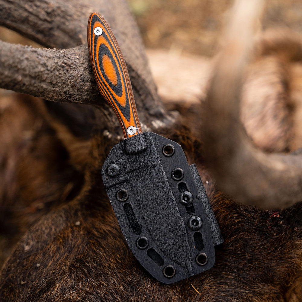 JACKSTONE - ORANGE AND BLACK