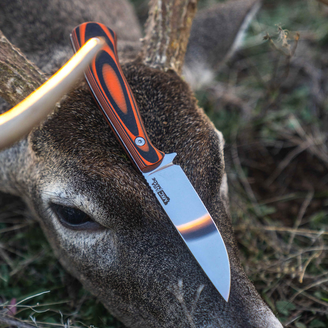 WHITETAIL KNIFE